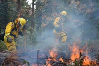 Parched forests fuel the flames of wildfires in Northern California ...